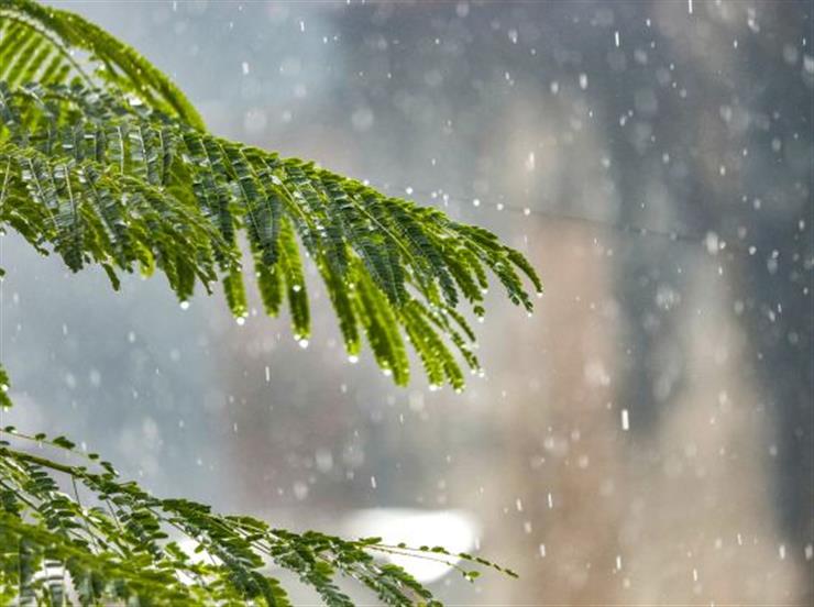 ਪੰਜਾਬ ਦੇ 11 ਜ਼ਿਲ੍ਹਿਆਂ ਵਿੱਚ ਮੀਂਹ ਦਾ ਅਲਰਟ